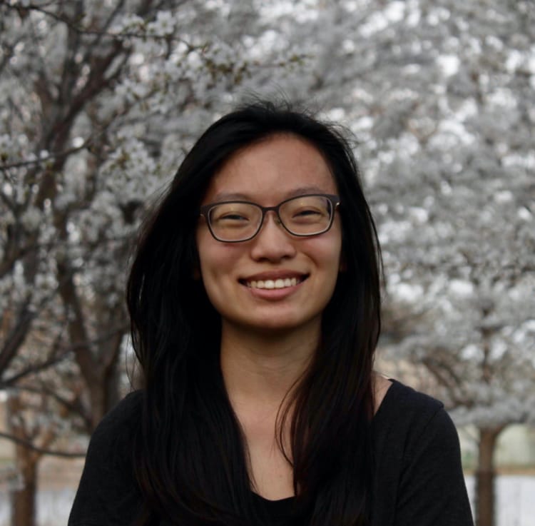 Projects — Triton Software Engineering