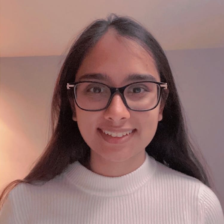 Projects — Triton Software Engineering